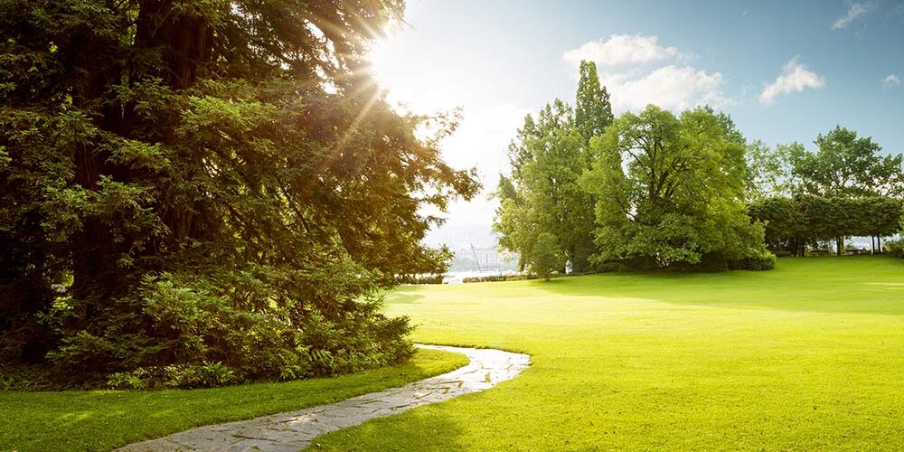 The Best Places To Visit in Mohali - Tourism In Mohali