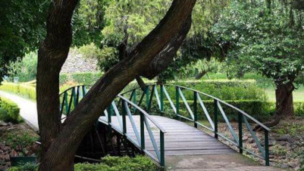 Top 10 Tourist Attractions in Mohali