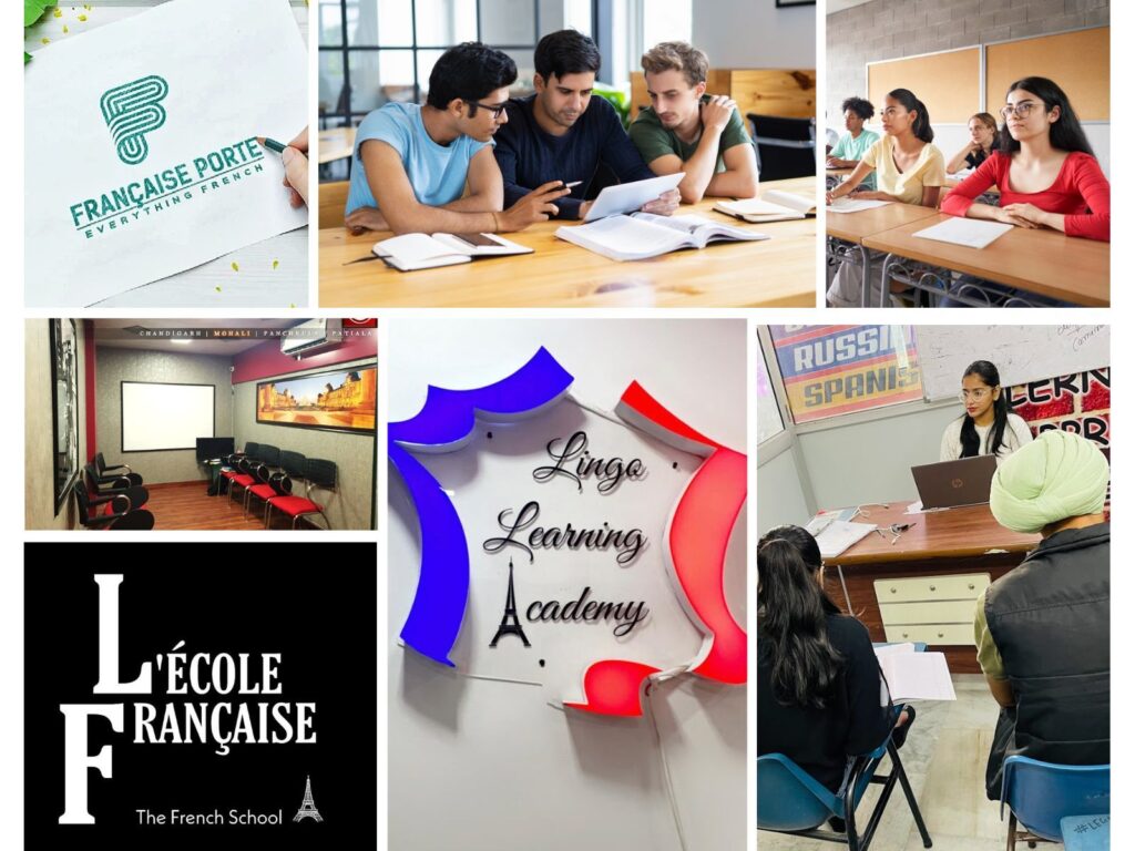 Top 10 French Classes in Mohali - DELF & TEF Certified for Immigration ...