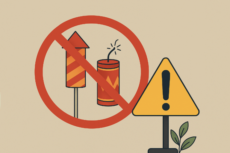 Strict Firecracker Rules in Mohali for Upcoming Festivals